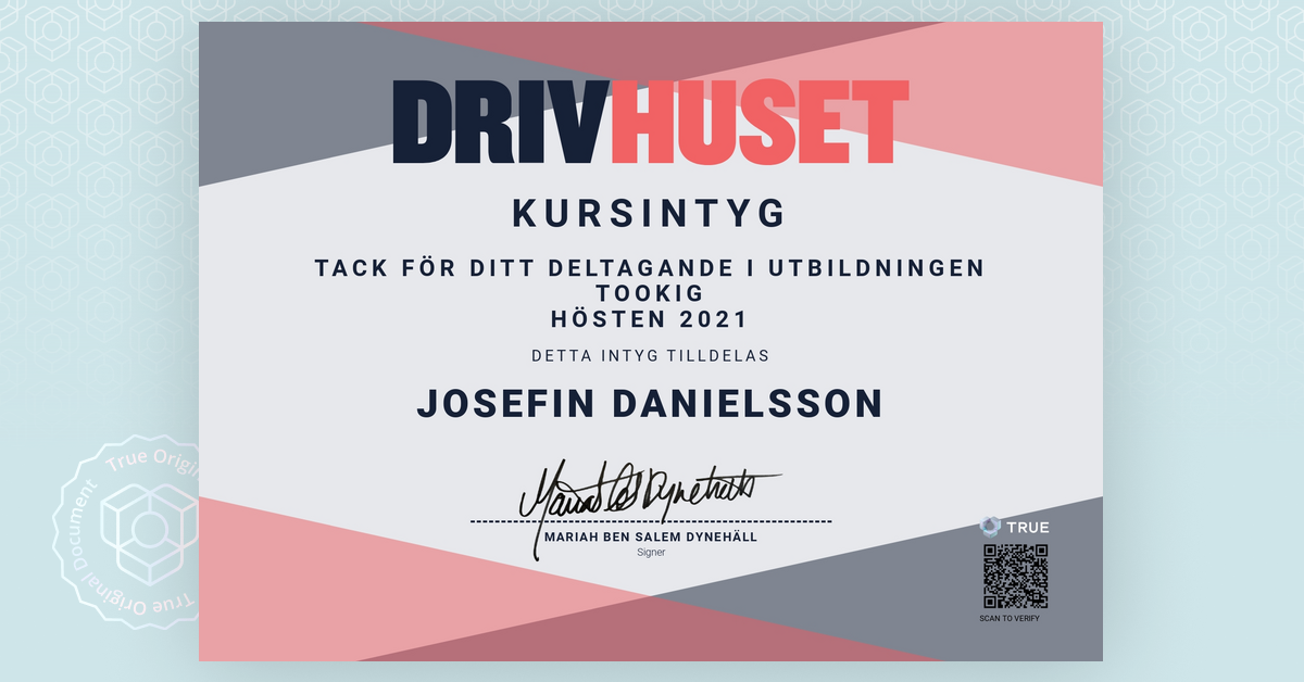 Drivhuset AB - Certifikat utfärdat till Josefin Danielsson av Drivhuset ...